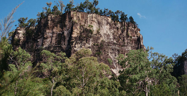 Sustainability Coaching for SANDSTONE PARK - Positive Impact Forever